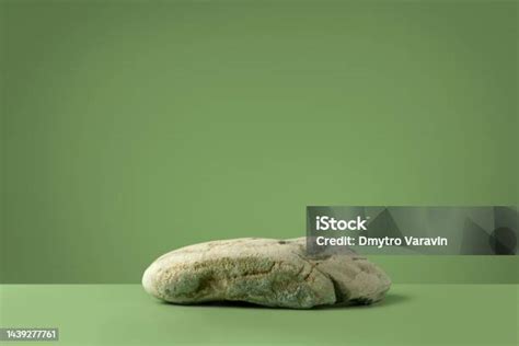녹색 배경에 돌이 있는 모형 장면 화장품 프리젠 테이션 또는 패키지 광고를위한 자연 받침대 광고 무대 공간을 복사합니다 개념에 대한 스톡 사진 및 기타 이미지 Istock