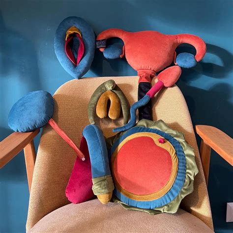 Sex Education Pillow Set Female Genitourinary System Penis Sperm And Egg Cells Plushy Models