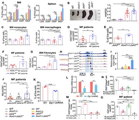 S190 Asxl1 Mutations Accelerate Bone Marrow Fibrosis Via Eg