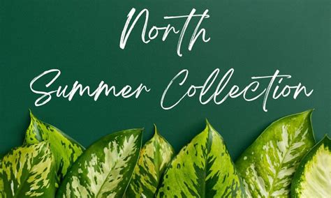 Woocommerce Potential Of Elementor Woocommerce Templates