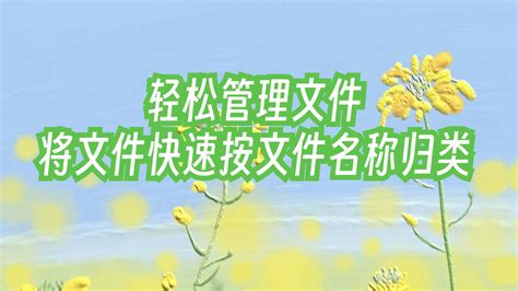 轻松管理文件：将文件快速按文件名称归类 哔哩哔哩