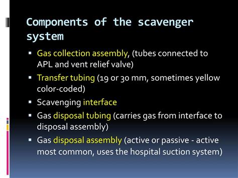 Ppt Scavenging Powerpoint Presentation Free Download Id 2072749