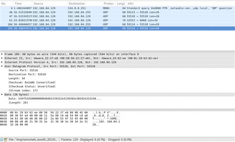 Access Violation When I Free IdUDPClient Indy Delphi PRAXiS En