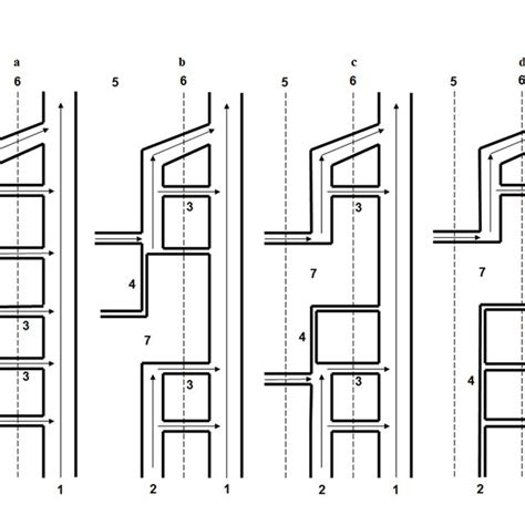 Schematic Presentation Of The Variants Of Hypo And Or Aplastic Gsv Download Scientific Diagram