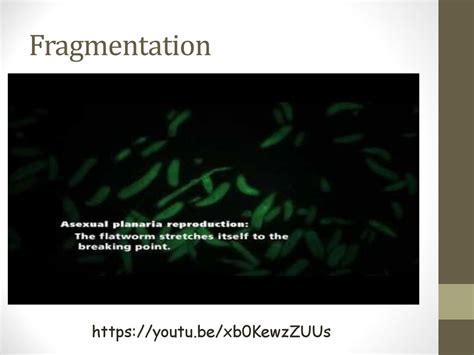 Directions Get Out Yesterdays Workbe Ready To Listen To Review PPT