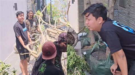 Tajir And Punya Istri Cantik Artis Ini Tak Gengsi Jadi Kuli Ikut