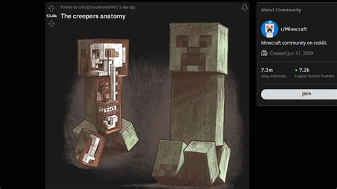 Minecraft Player Shares Creepers Anatomy And Explains Its Explosive Nature