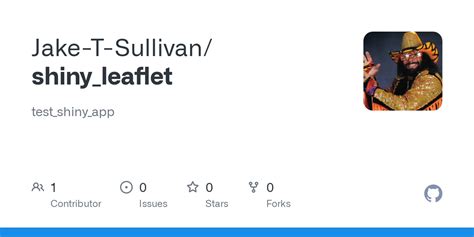 GitHub Jake T Sullivan Shiny Leaflet Test Shiny App