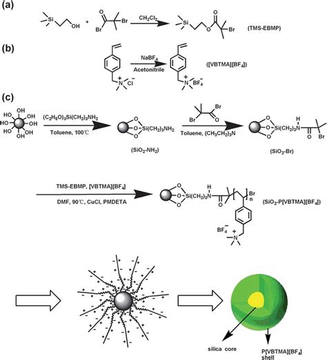 Scheme 1 Synthesis Route Of The Core Shell Nanocomposites Download