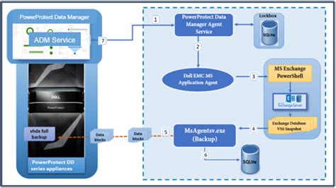 Centralized backup | PowerProtect Data Manager: Microsoft Exchange ...