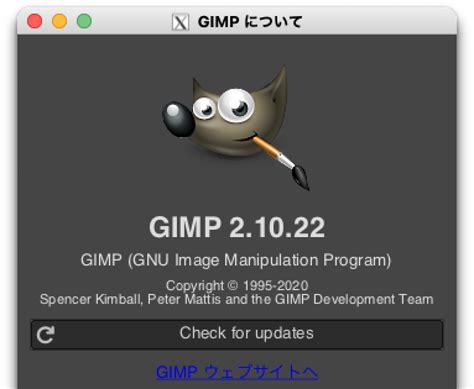 Gimp On Macos Big Sur