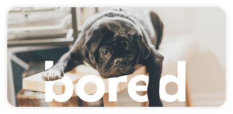 Smart Content Creator Create Branded Content In A Few Clicks