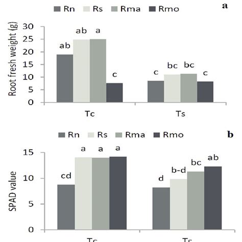 ­ The Interaction Effect Of Temperature And Cucumber Grafting Male And