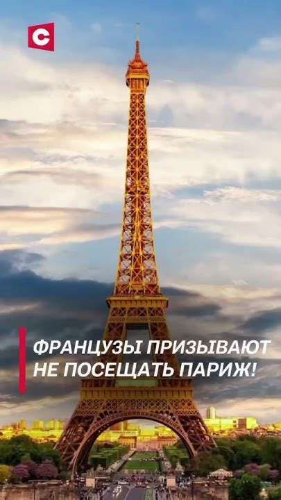 Митинги крысы мусор Что ждёт гостей Парижа Shorts париж франция новости политика Youtube