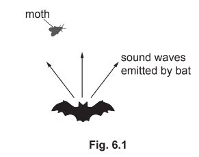 CIE IGCSE Co Ordinated Science P3 1 General Properties Of Waves Exam Style Questions Paper 3