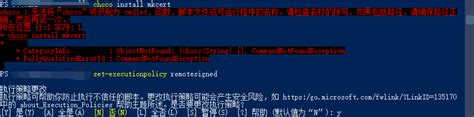 chocolatey 无法将“choco”项识别为 cmdlet、函数、脚本文件或可运行程序的名称。 kkkpjskey s case