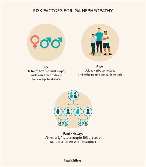 Risikofaktorer Og årsaker Til Iga Nefropati Med Norge