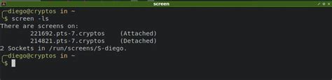 tmux y screen multiplexar la terminal de gnu linux junco tic
