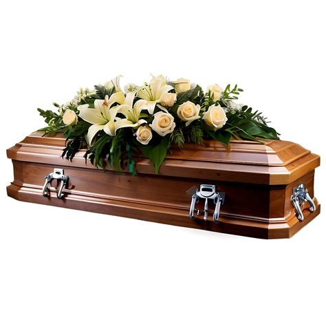 Download Eco Friendly Coffin Png 05242024