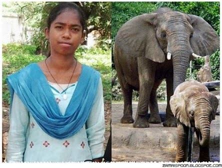 Wanita Ini Boleh Bercakap Denga Gajah Gaban Comel