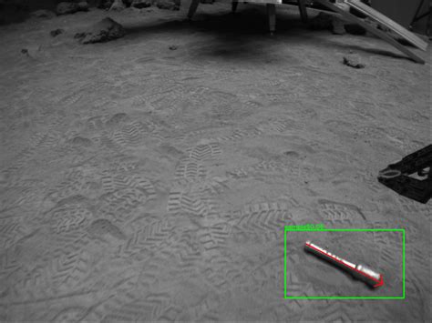 Detection Bounding Box Green Rectangle And Confidence Score Along