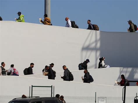 New Deadly Cryptococcus Gattii Fungus Found In Us National Geographic