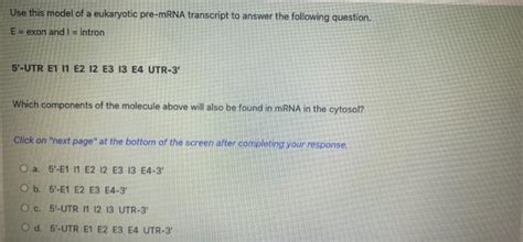 Solved Use This Model Of A Eukaryotic Pre Mrna Transcript To