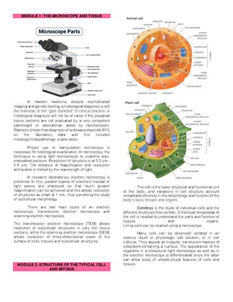 Histo LAB MODULE 1 THE MICROSCOPE AND TISSUE In Modern Medicine Despite Sophisticated
