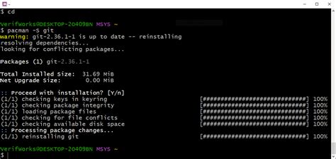FPGA Windows MSYS Git Python Iverilog GTKWave