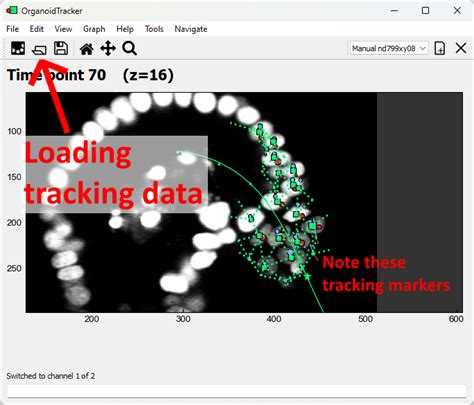 GitHub Jvzonlab LabelFreeTracker Predicts Nuclear And Cell Envelope Reporters From