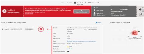 Container Runtime Protection Optiv