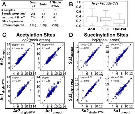 Simultaneous Affinity Enrichment Of Two Post Translational
