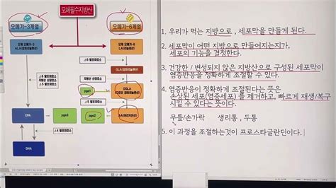 세포막 프로스타글란딘7세포의 손상과 재생 Youtube