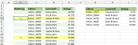 Kopiera Markerade Rader Till En Annan Plats Med Funktionen FILTER Excelbrevet