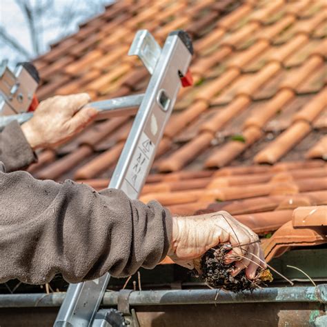 Why Mesh Gutter Guards Are Not Enough The Importance Of Regular Gutter Cleaning