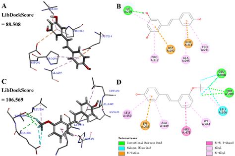 Molecular Docking Of Resveratrol 1 1 And Its Derivative 4 6 With The