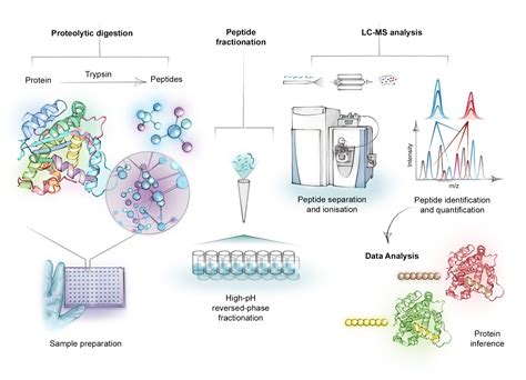 Tandem Mass Spectrometry Proteomics Data At Mia Hartnett Blog