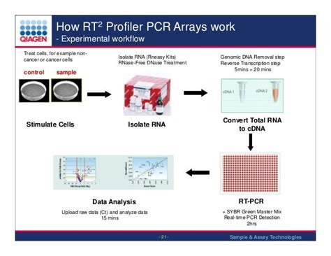 pcr array 2013