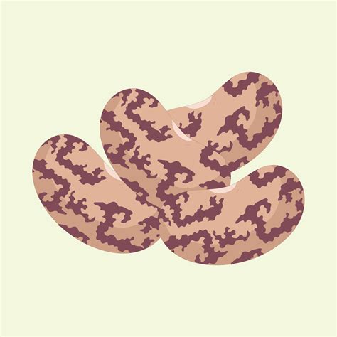Pinto Beans Beans Flat Design Cartoon Icon Illustration 63210267 Vector