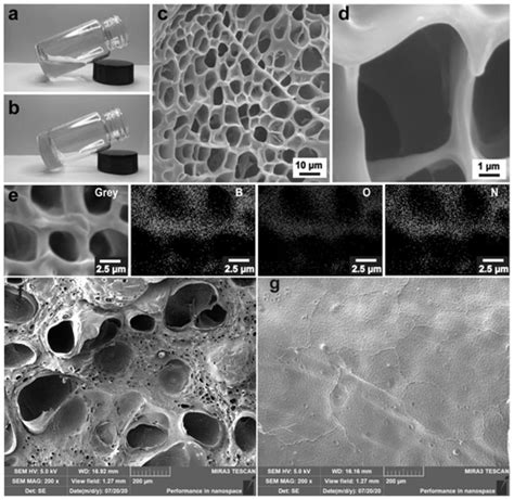 In Situ Polymerization Strong Adhesion Antibacterial Hemostatic