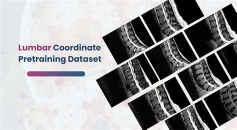 Lumbar Coordinate Pretraining Dataset Rsna 2024