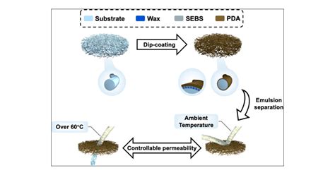 A Wax Elastomer Superwetting Membrane With Controllable Permeability