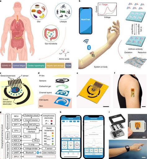 A Wearable Electrochemical Biosensor For The Monitoring Of Metabolites And Nutrients R Wearables