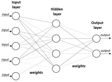 the simple architecture of a three layer feed forward neural network