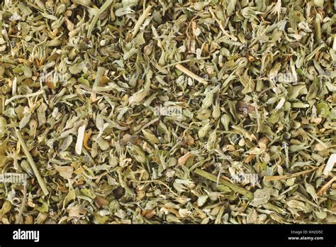 Dried Catnip Used To Give Cats A Buzz Or Natural High Stock Photo Alamy