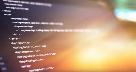 Premium Photo Software Development Mobile App Developer