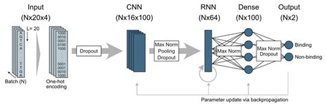 architecture of the final rnn model input sequences n sequences of