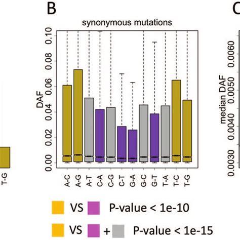 Mutational Signatures Of Synonymous Hotspot Mutation In 15 Cancer