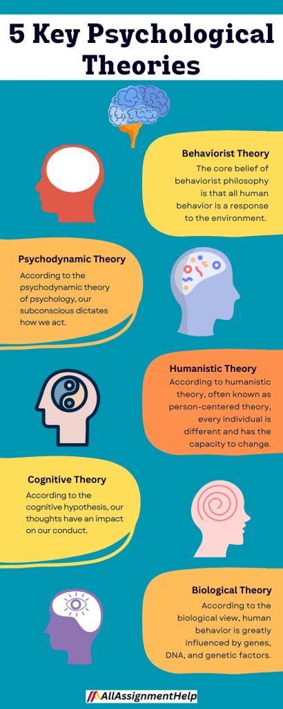 Demystifying The Mind Discovering Key Psychological Theories Nuxxl