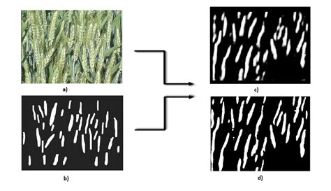 A The Original Rgb Image B The Manual Made Binary Mask C The Output Download Scientific